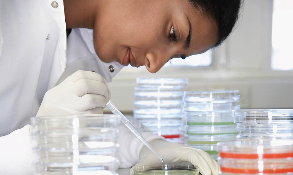 As Demand for Talent Surges in the Life Sciences Sector, Firms Look for ...